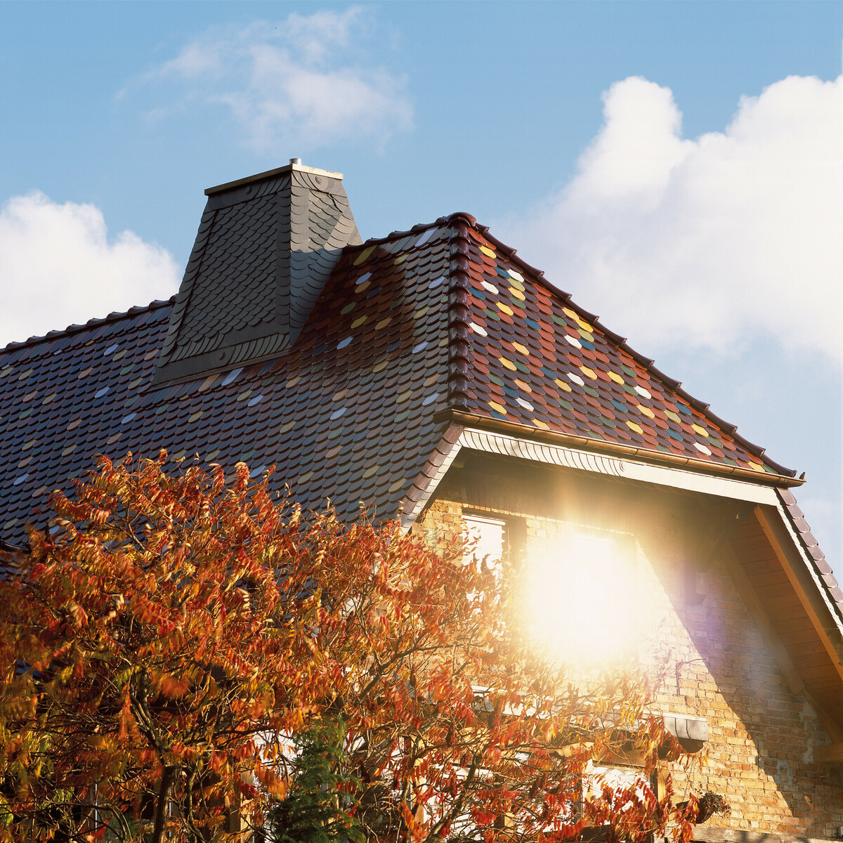 Neubau - Ihr Dach - CREATON